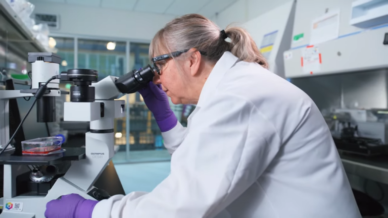 Bioinformatics vs Health Informatics - Key Differences