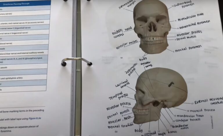 Guide to Medical Coding Certification: Decoding Your Future